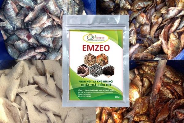 Chế Phẩm Vi Sinh Là Gì? Những Loại Chế Phẩm Vi Sinh Phổ Biến Nhất